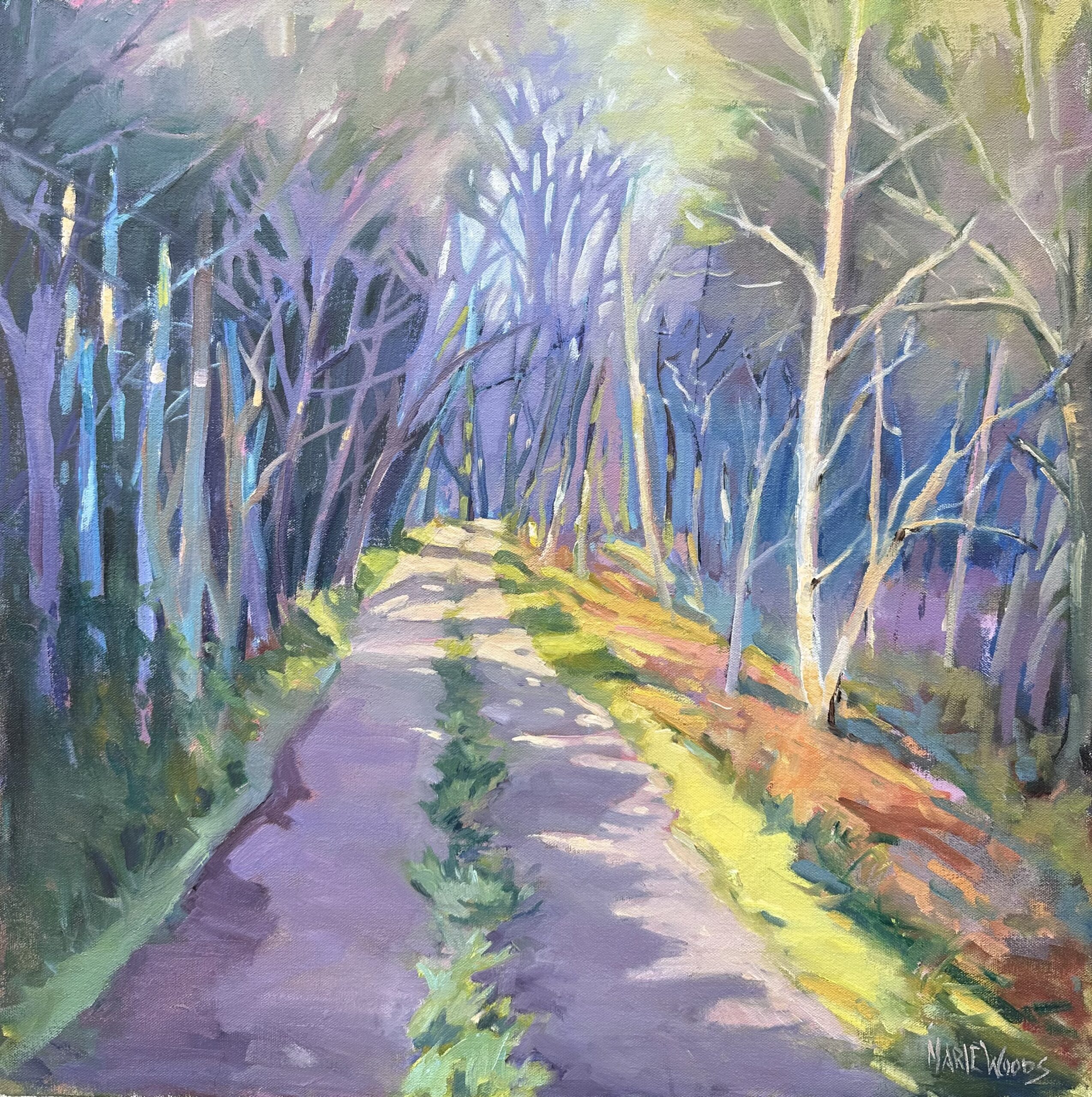 Forest Path - Eakin Gallery